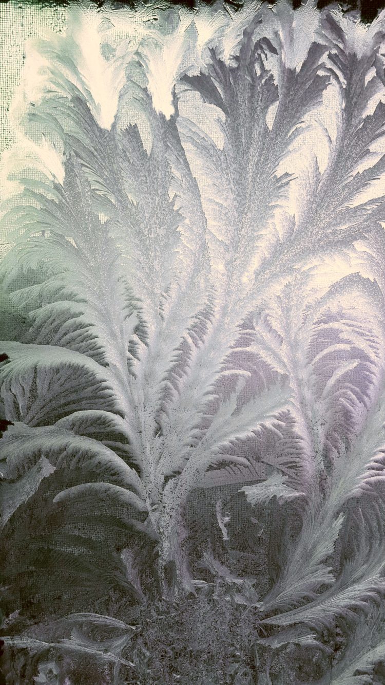 Frost Art - SkySpy Photos, Images, Video