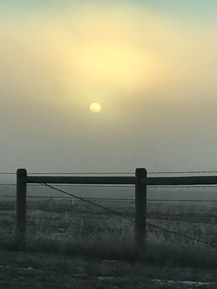 White Sun - SkySpy Photos, Images, Video