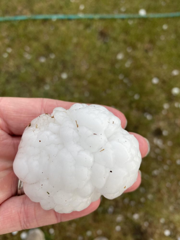 Hail - SkySpy Photos, Images, Video