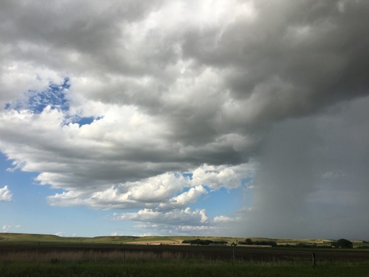 wall of rain on a sunny day - SkySpy Photos, Images, Video